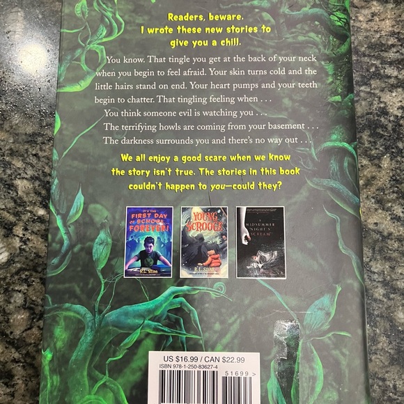 Scholastic | Other | New Stinetinglers By Rl Stine Hardcover Book Never ...